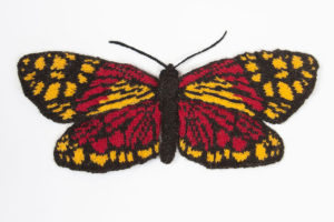 Moths – Max's World